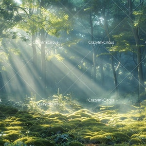 Animated Background - Misty Forest - Serene Woodland Aura Backdrop ...