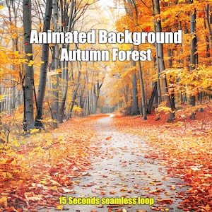 Animated Background - Autumn Forest - Whimsical Fall Wonderland for ...