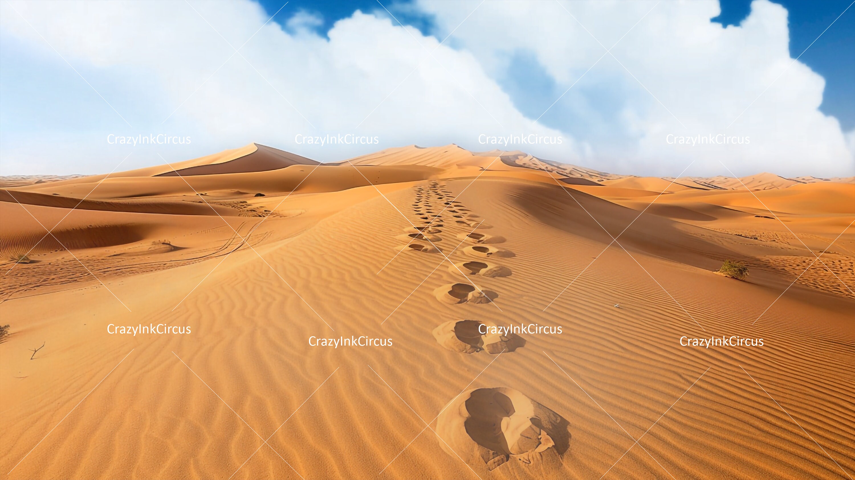 Animated Background - Sahara Desert Serenity - Tranquil Dunescape ...
