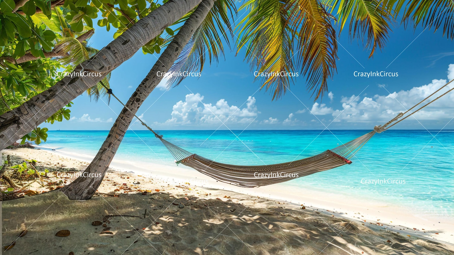 Animated Background - Tropical Beach - Ideal for Zoom Meetings, Twitch ...