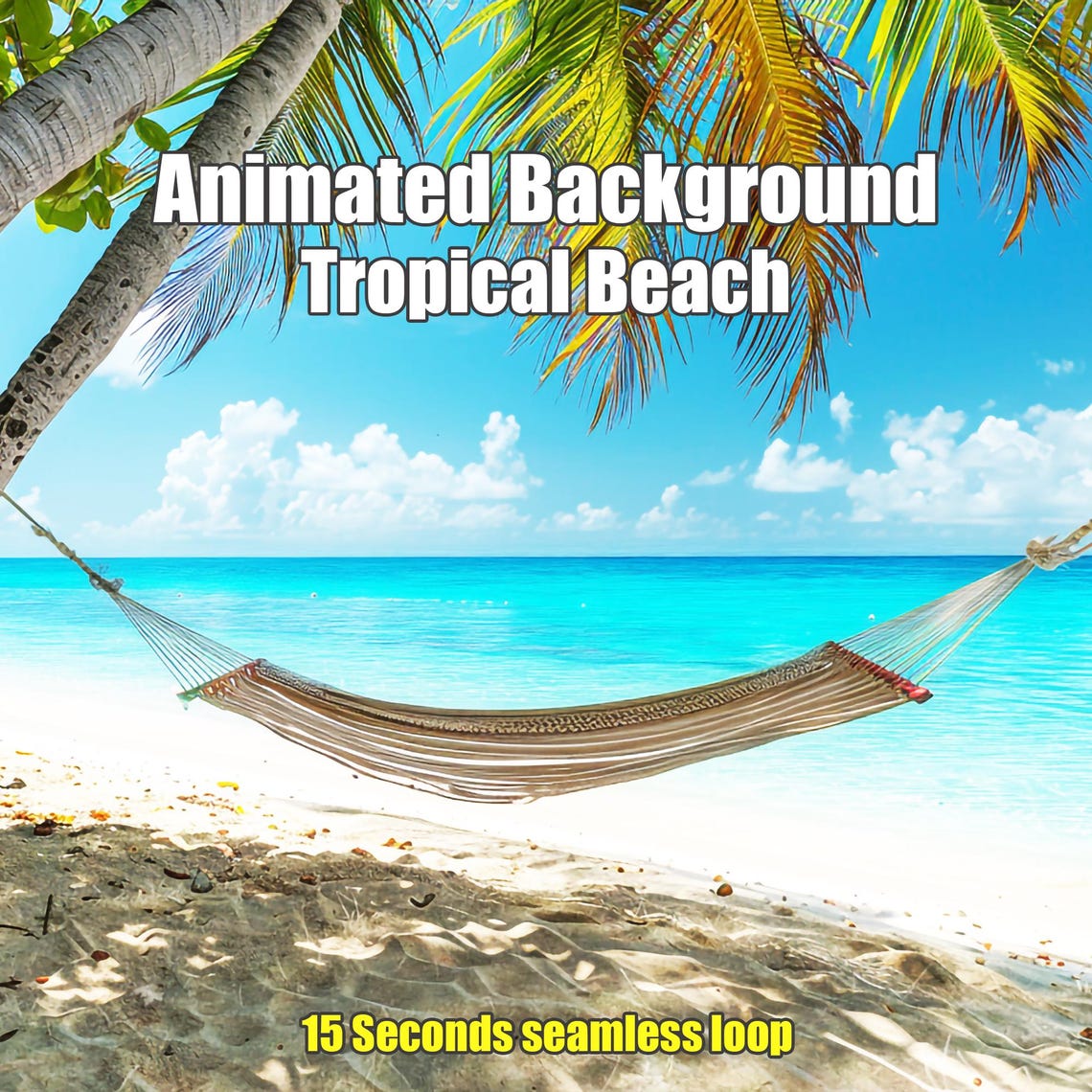 Animated Background Tropical Beach Ideal for Zoom Meetings, Twitch ...