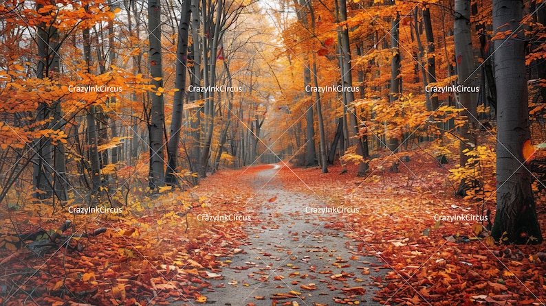 Animated Background - Autumn Forest - Whimsical Fall Wonderland for ...