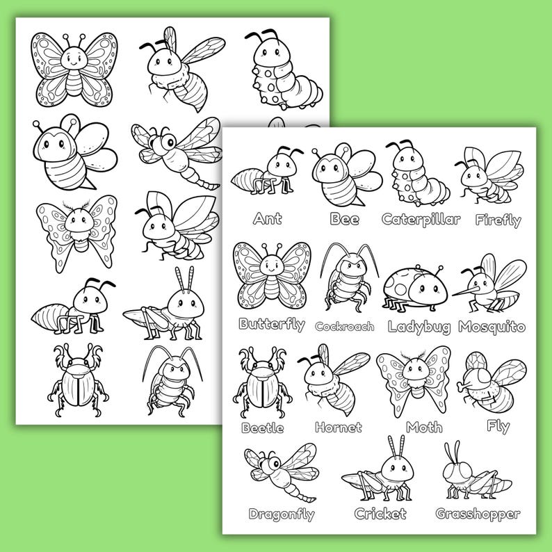 Insect Coloring Pages 20-page Pack | Bugs Activity Pack for Kids ...