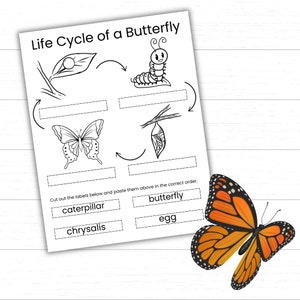 Life Cycle of a Butterfly Cut and Paste Activity, Printable Butterfly ...