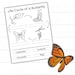 Life Cycle of a Butterfly Cut and Paste Activity, Printable Butterfly ...