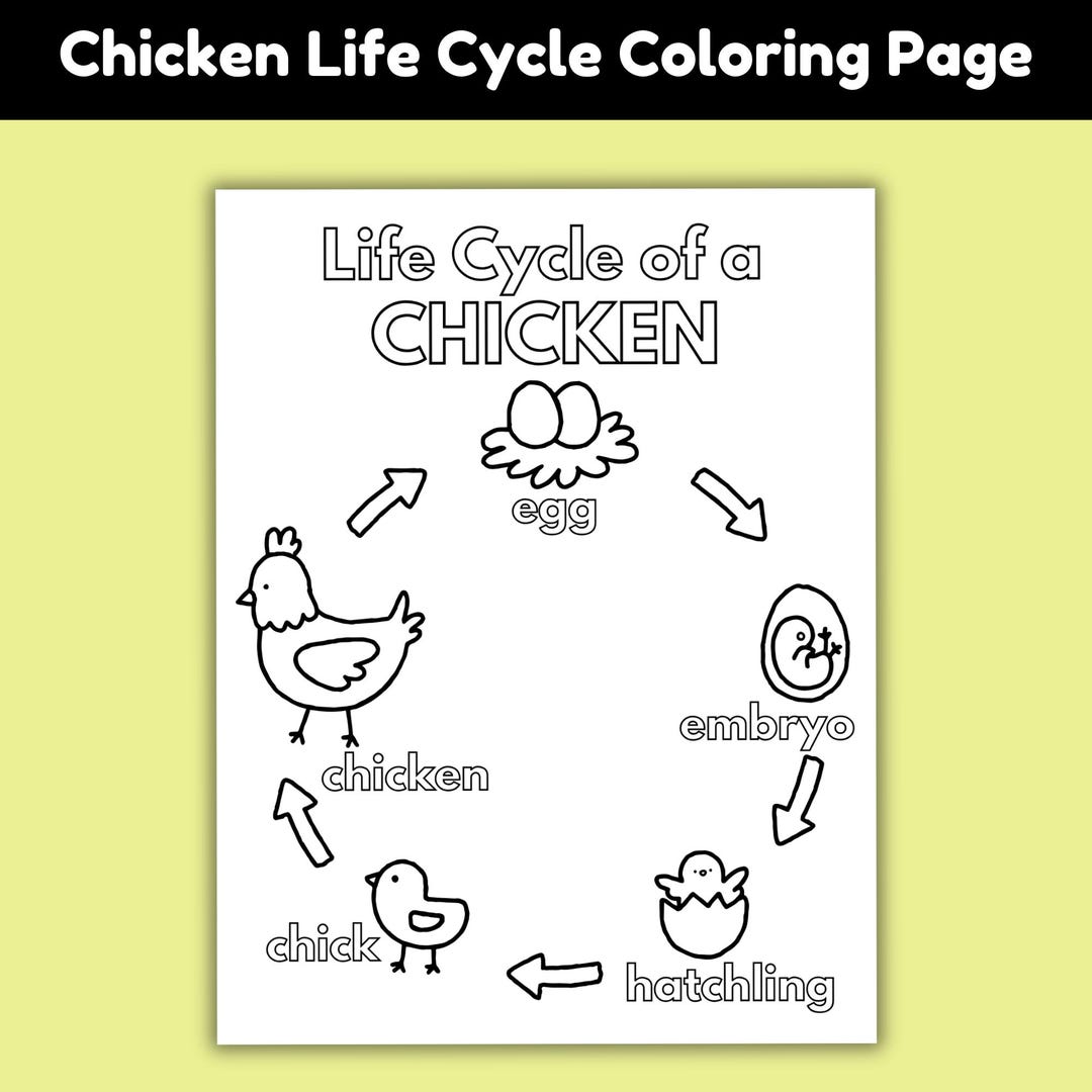 Chicken Life Cycle Coloring Page Printable, Farm Animal Worksheet ...