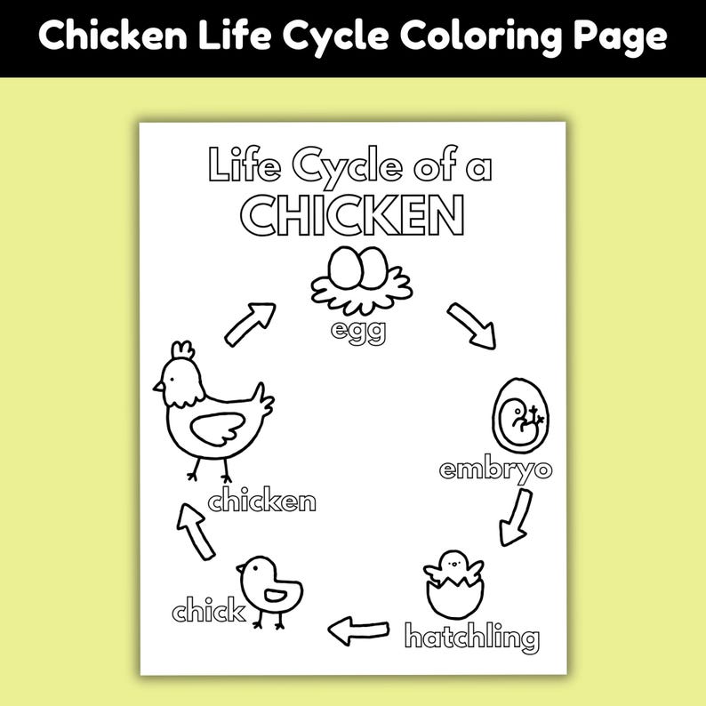 Chicken Life Cycle Coloring Page Printable, Farm Animal Worksheet ...