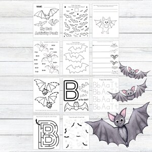 Bat Activity Pack Printable, Bat Worksheets, Bat Unit, Bat Learning Set ...