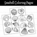 Seashell Coloring Pages Printable, Blank Seashell Templates for Crafts ...