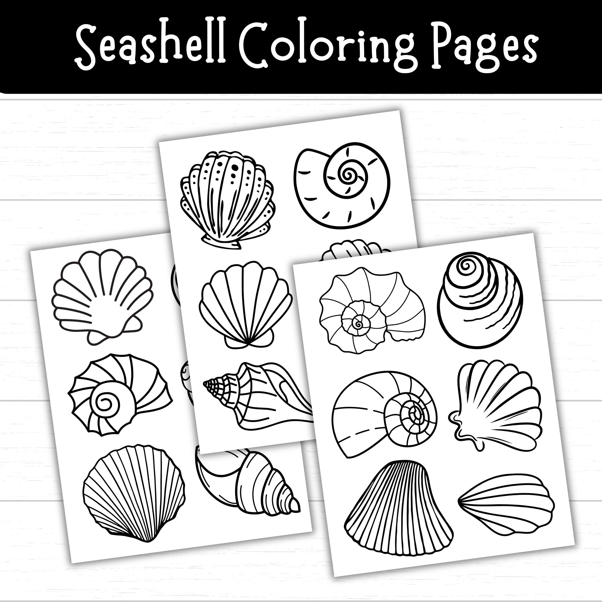Seashell Coloring Pages Printable, Seashell Templates to Color and Cut ...
