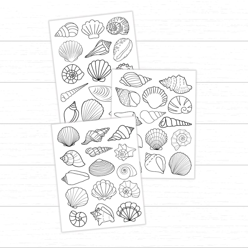 Printable Seashell Coloring Pages, Seashell Templates for Crafts and ...