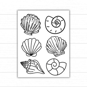 Seashell Coloring Pages Printable, Blank Seashell Templates for Crafts ...