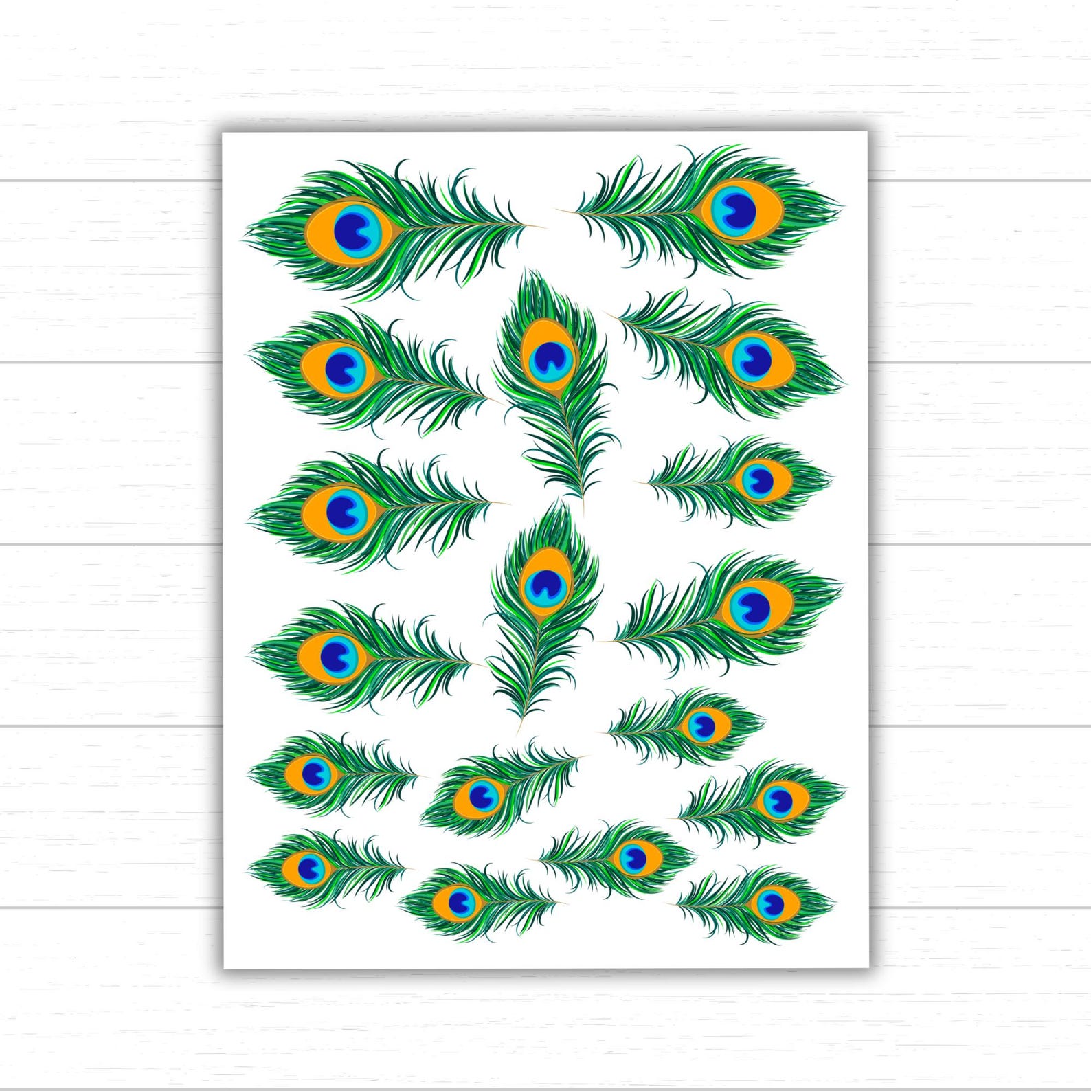 Disguise a Turkey Peacock Printable, Turkey Disguise Idea, Classroom ...