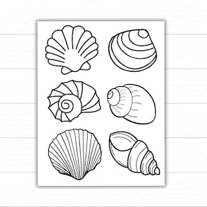 Seashell Coloring Pages Printable, Blank Seashell Templates for Crafts ...