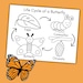 Butterfly Life Cycle Coloring Page Printable, Butterfly Worksheet for ...