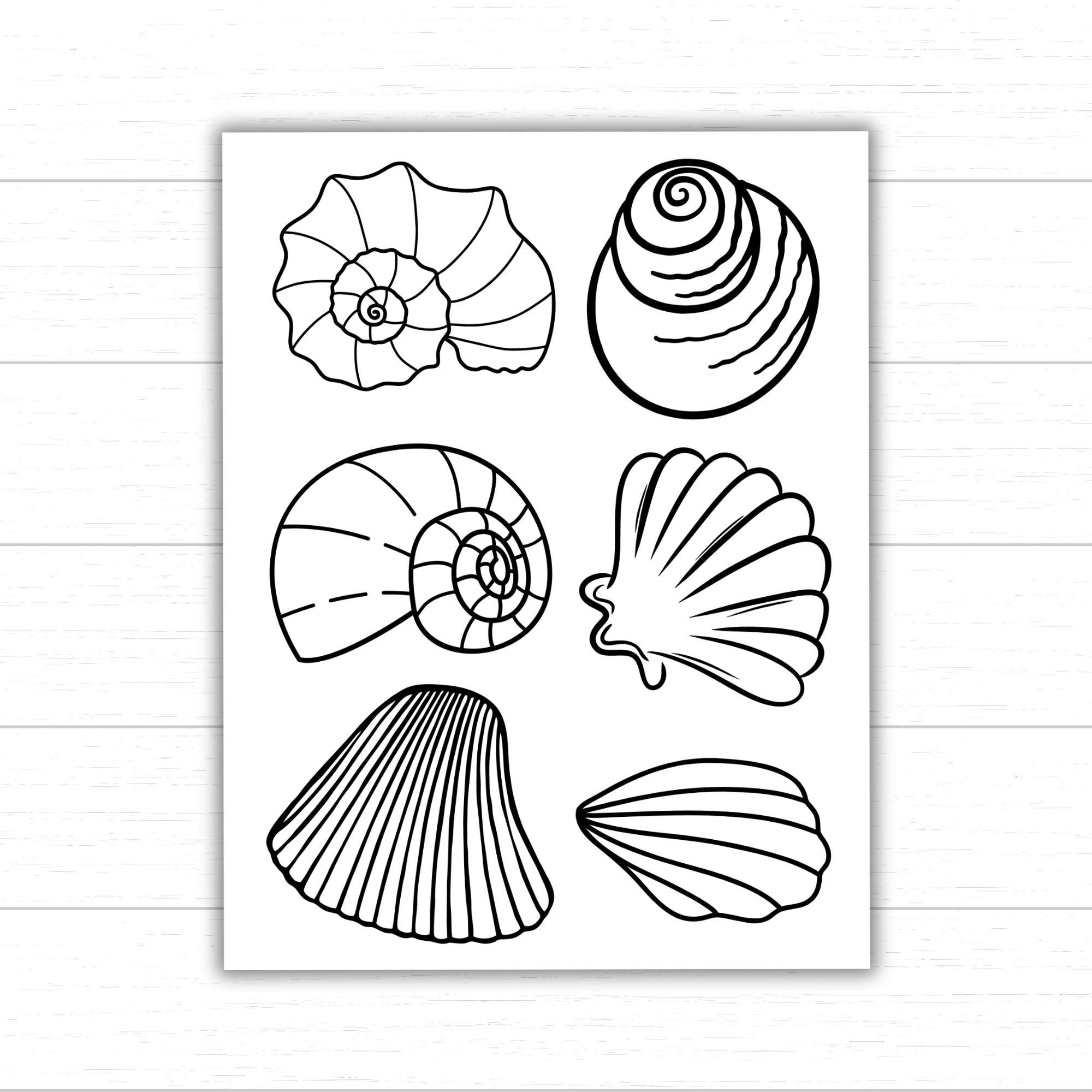 Seashell Coloring Pages Printable, Seashell Templates to Color and Cut ...