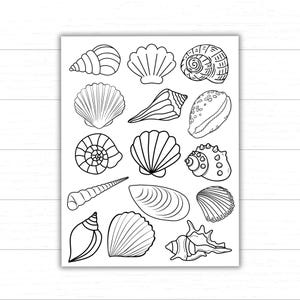 Printable Seashell Coloring Pages, Seashell Templates for Crafts and ...