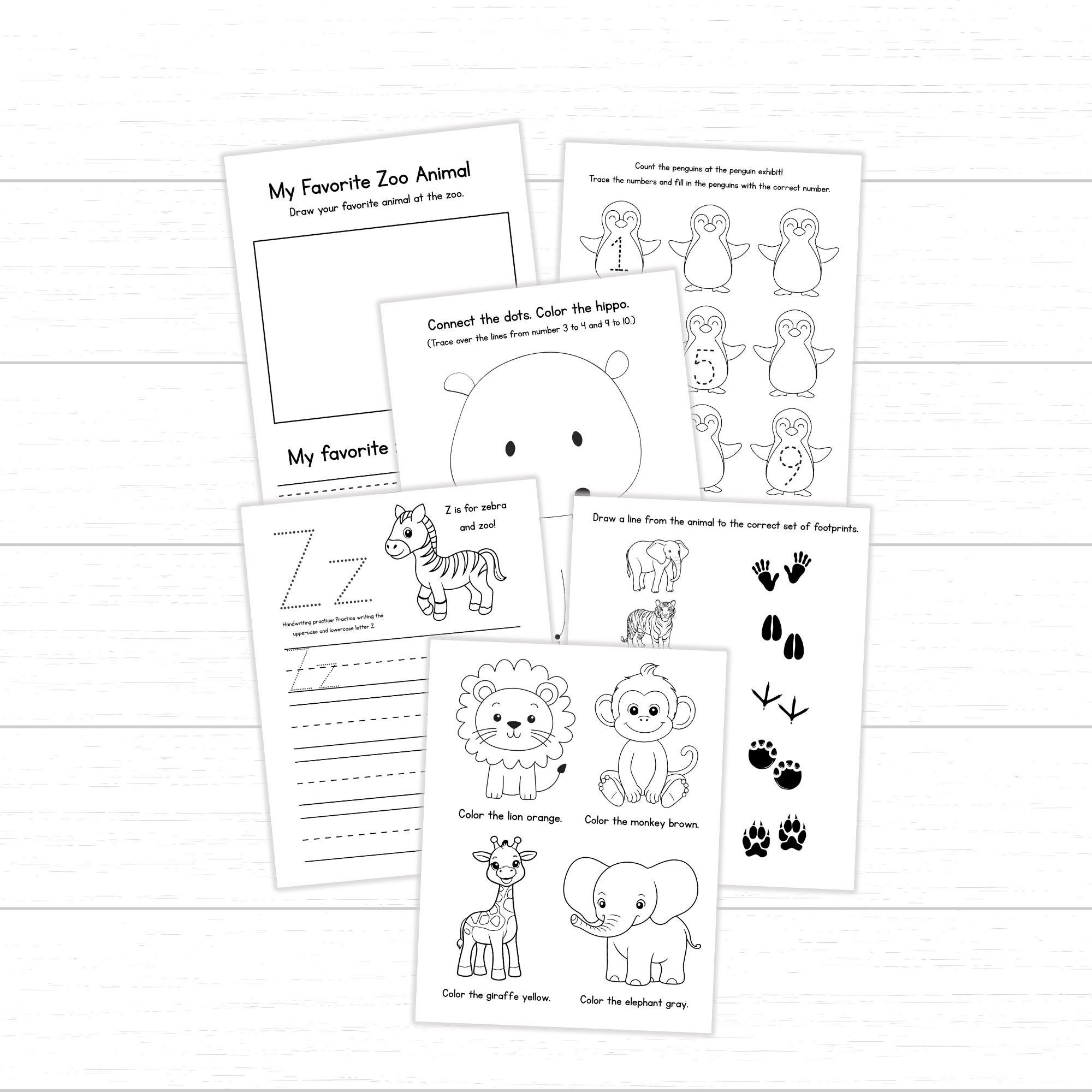 Zoo Activity Pack Printable for Preschool and Kindergarten, Printable ...