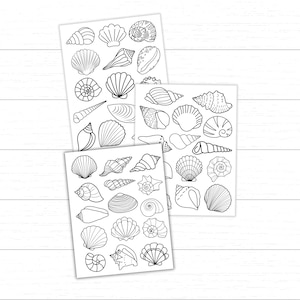 Printable Seashell Coloring Pages, Seashell Templates for Crafts and ...