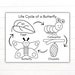 Butterfly Life Cycle Coloring Page, Printable Life Cycle of a Butterfly ...