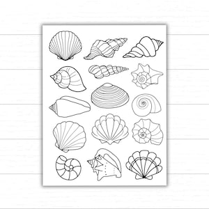 Printable Seashell Coloring Pages, Seashell Templates for Crafts and ...