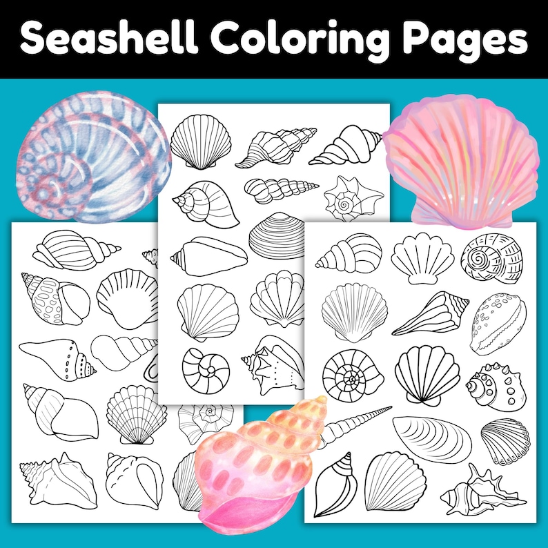 Printable Seashell Coloring Pages, Seashell Templates for Crafts and ...