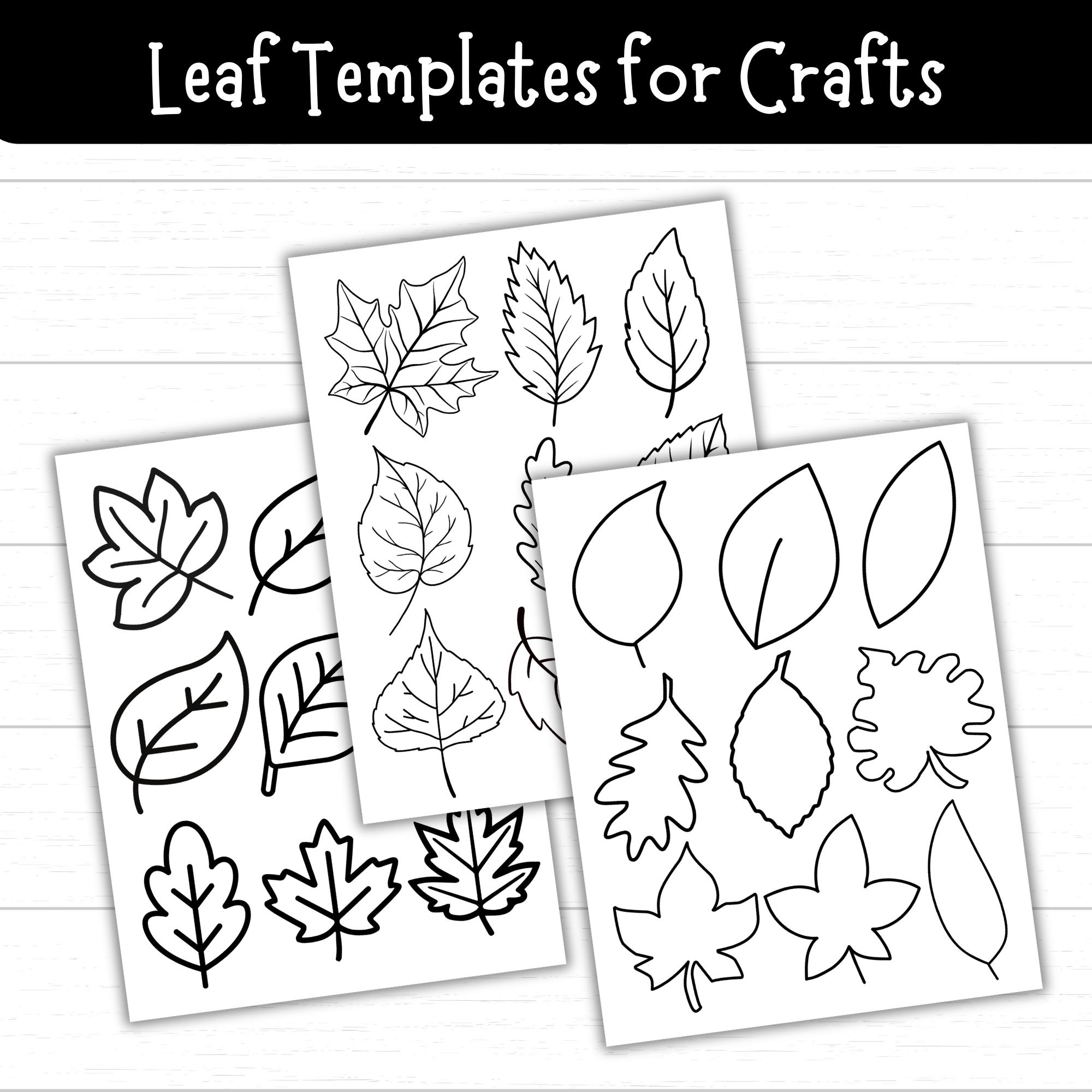 Spring Leaf Templates Printable, Leaf Outlines for Crafts, Leaf ...