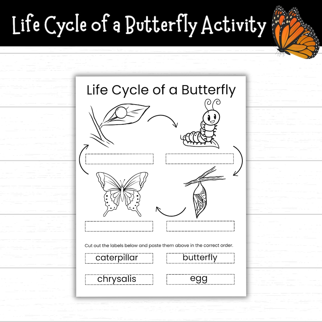 Life Cycle of a Butterfly Cut and Paste Activity, Printable Butterfly ...