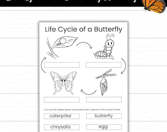 Life Cycle of a BUTTERFLY, SPRING Time Activity, DIGITAL Download - Etsy