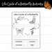 Life Cycle of a Butterfly Cut and Paste Activity, Printable Butterfly ...
