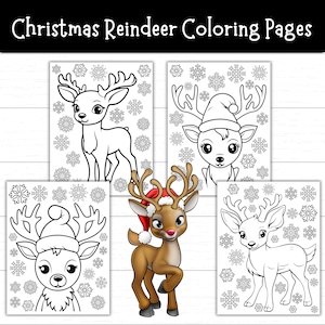 Christmas Reindeer Coloring Pages, Winter Reindeer Coloring Pages ...