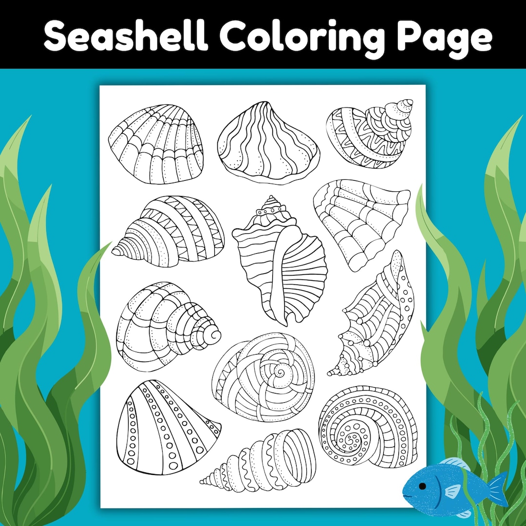 Printable Seashell Coloring Page, Beach Coloring Sheet, Shell Crafts ...