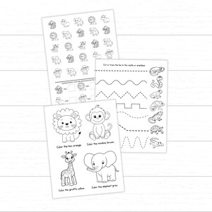 Zoo Activity Pack Printable for Preschool and Kindergarten, Printable ...