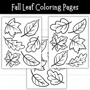 Fall Leaf Coloring Pages, Leaf Printables, Autumn Leaf Coloring Sheets ...
