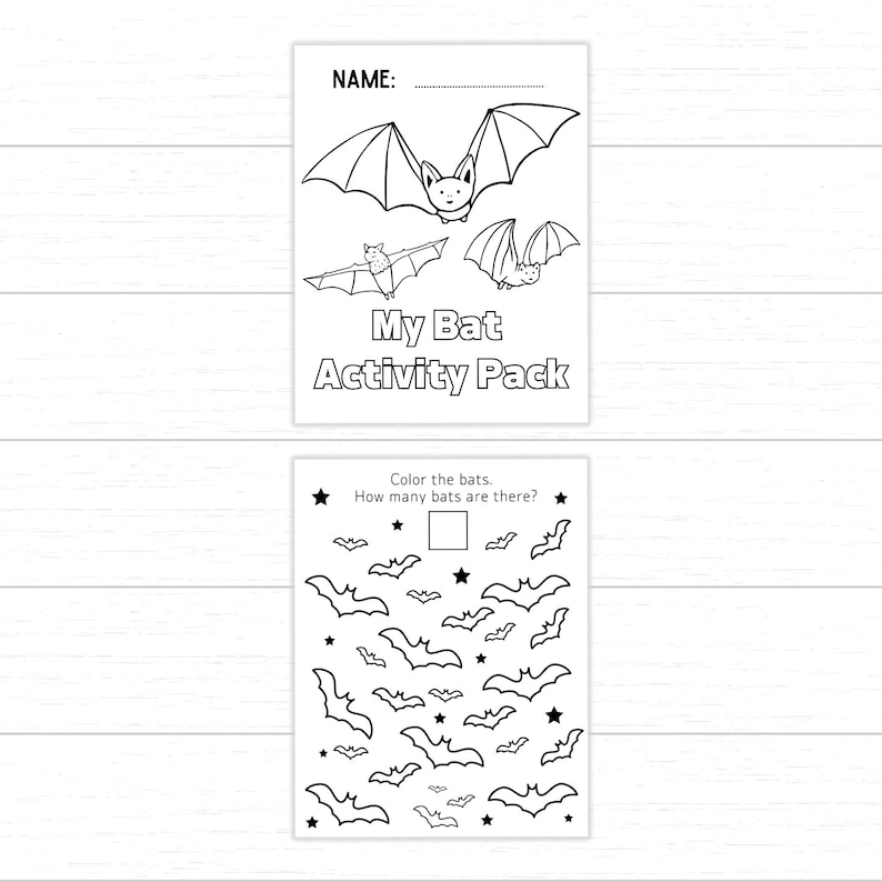Bat Activity Pack Printable, Bat Worksheets, Bat Unit, Bat Learning Set ...