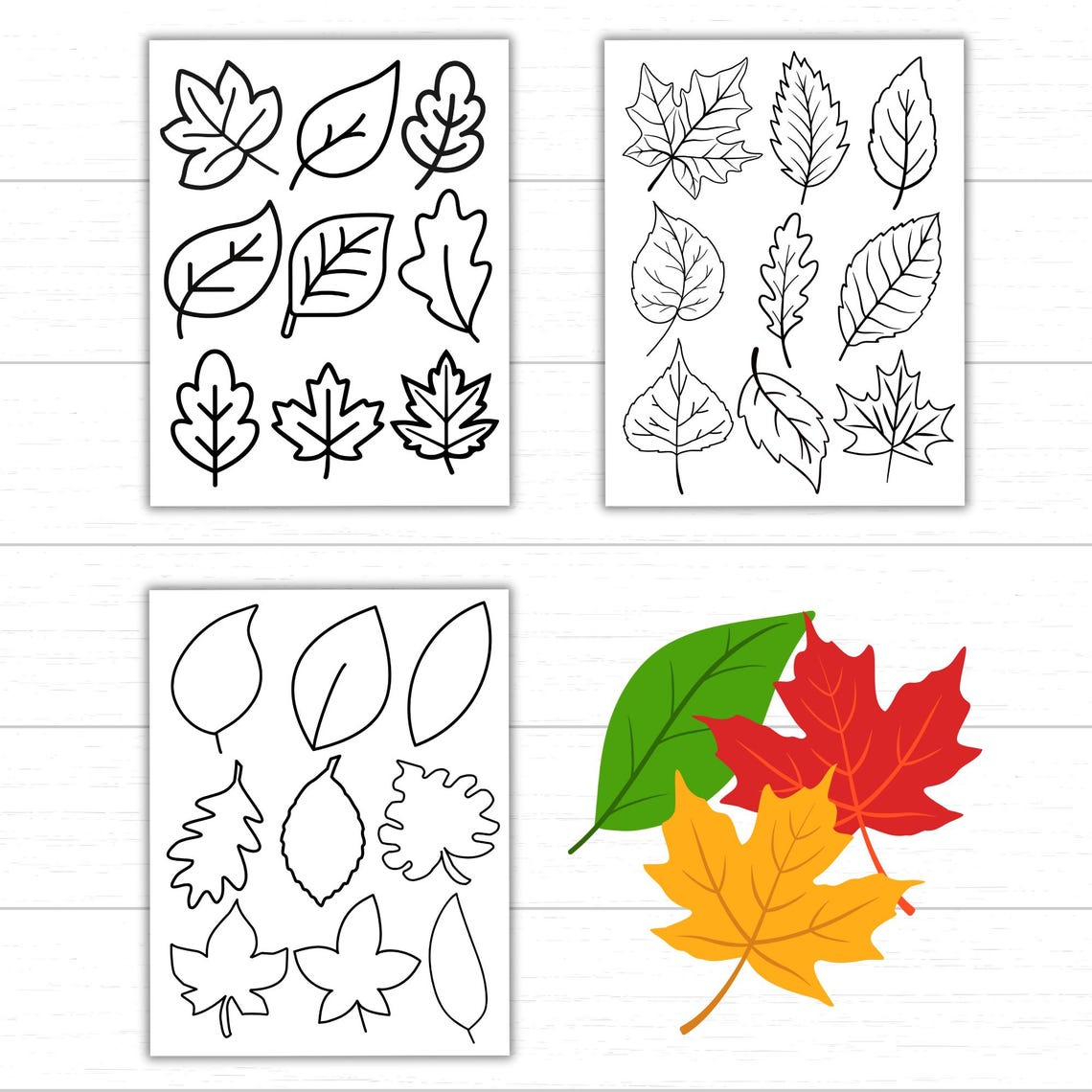 Leaf Templates for Crafts and Activities, Printable Leaves, Leaf ...