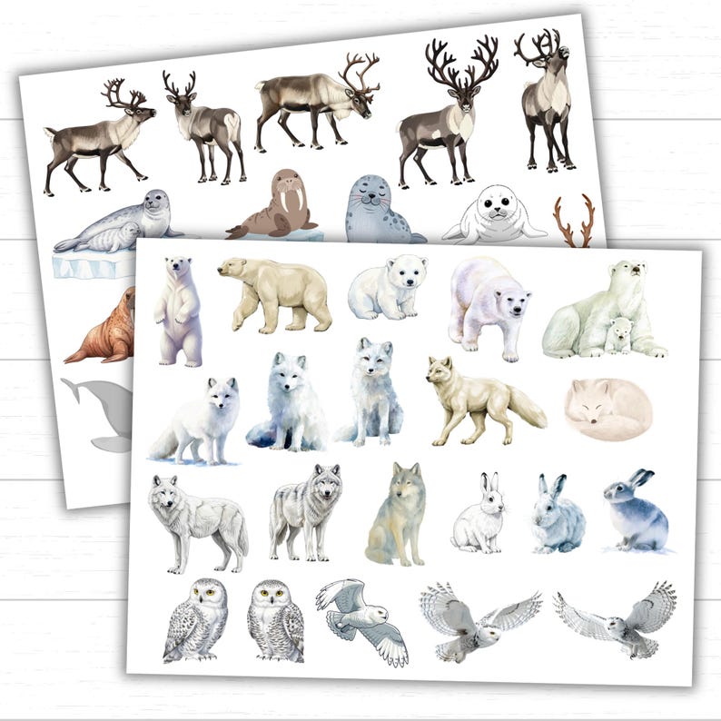 Arctic Animals Cut and Paste Activity, Arctic Habitat Scenes Printable ...