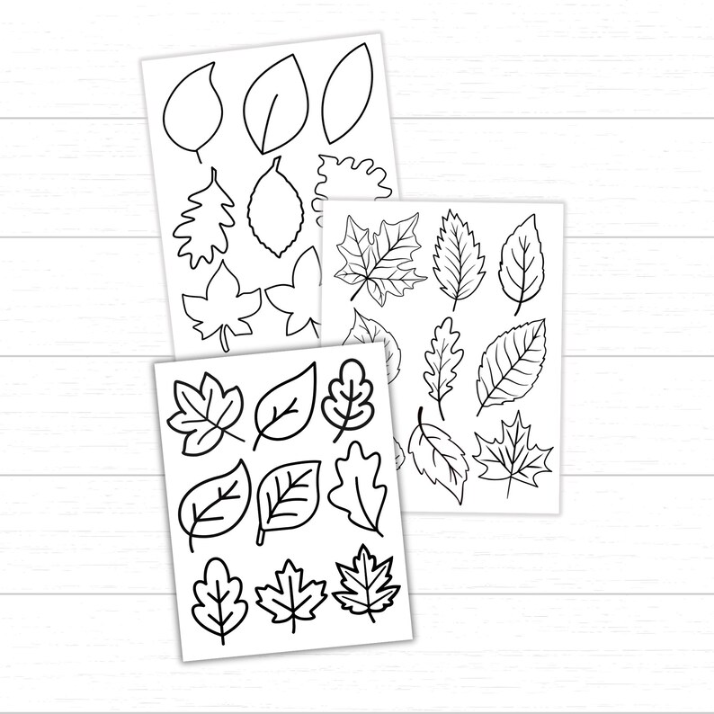 Spring Leaf Templates Printable, Leaf Outlines for Crafts, Leaf ...