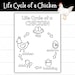 Chicken Life Cycle Coloring Page Printable, Farm Animal Worksheet ...