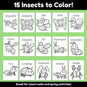 Insect Coloring Pages 20-page Pack | Bugs Activity Pack for Kids ...