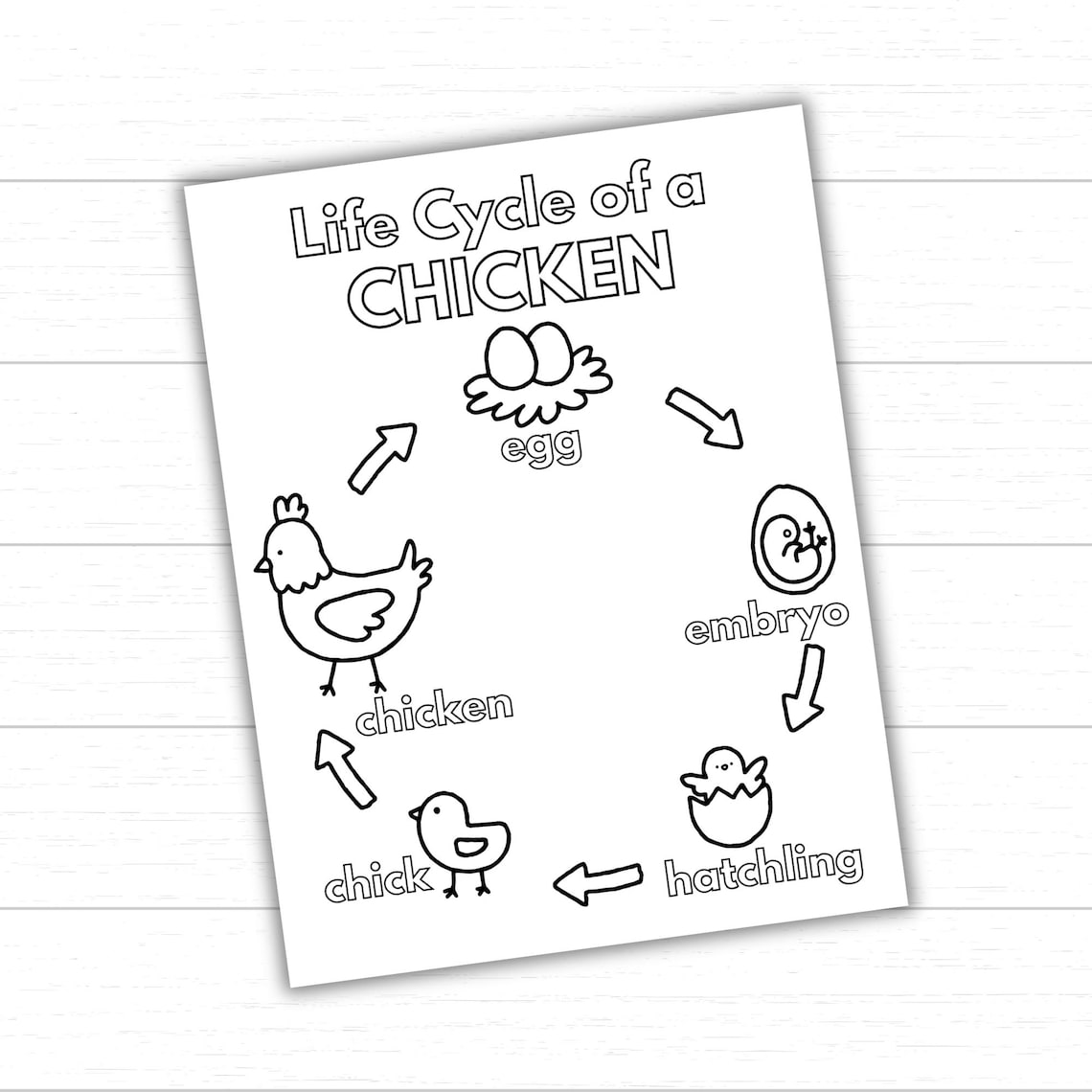Chicken Life Cycle Coloring Page Printable, Farm Animal Worksheet ...