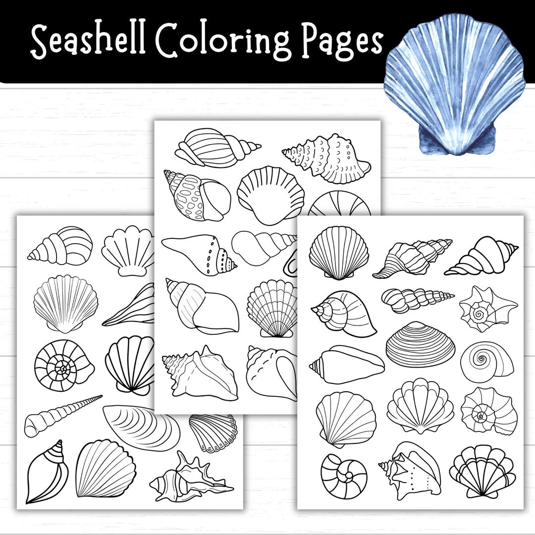 Printable Seashell Coloring Pages, Seashell Templates for Crafts and ...