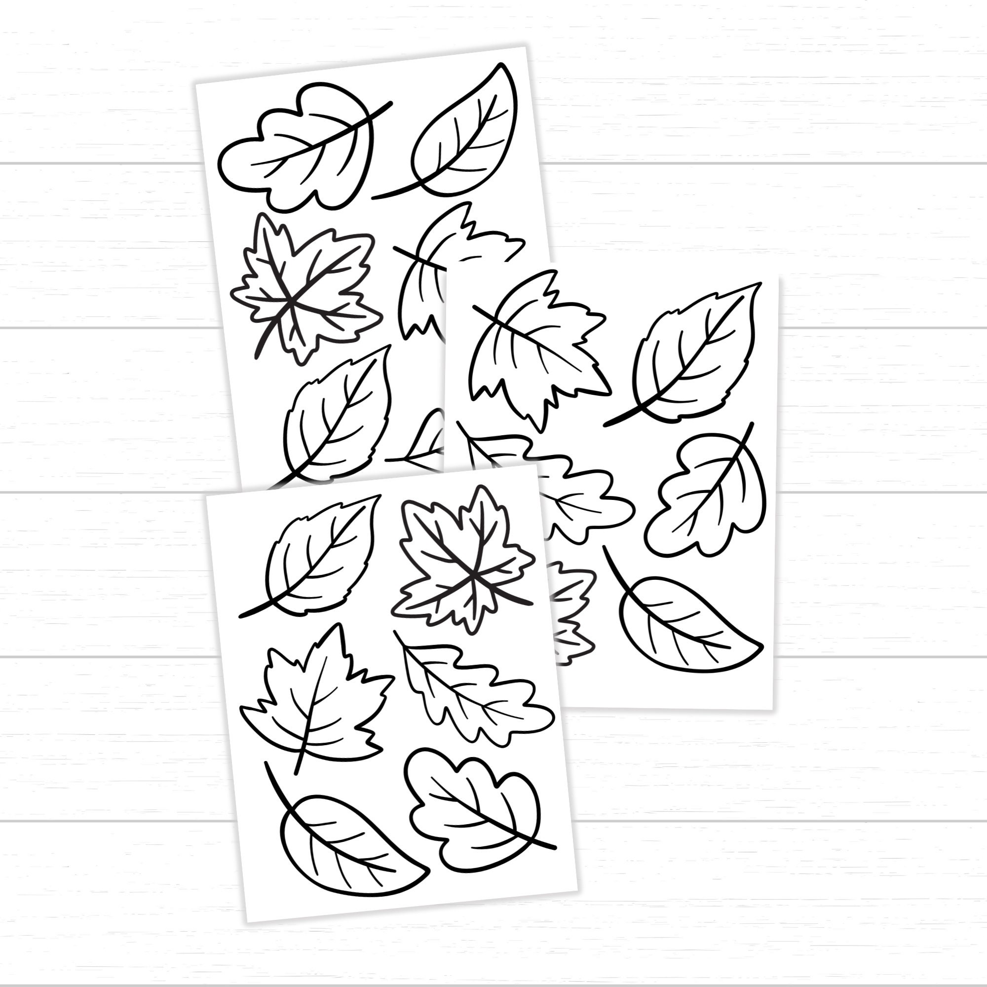 Leaf Coloring Pages for Kids Printable Pack, Fall Autumn Leaves ...