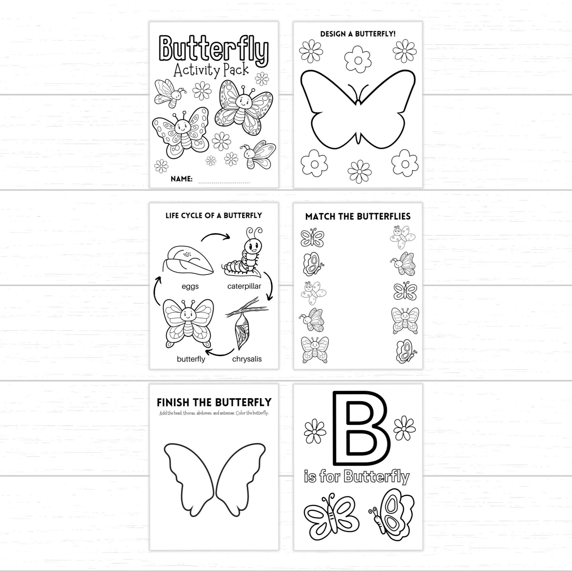 Butterfly Activity Pack Printable for Kids, Science Craft, Coloring ...