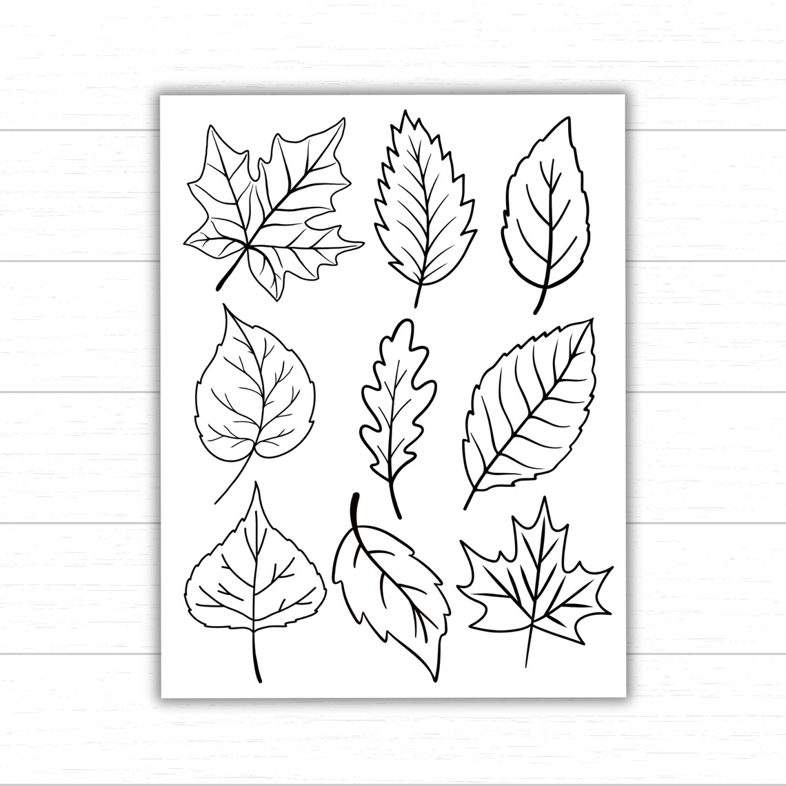 Leaf Templates for Crafts and Activities, Printable Leaves, Leaf ...