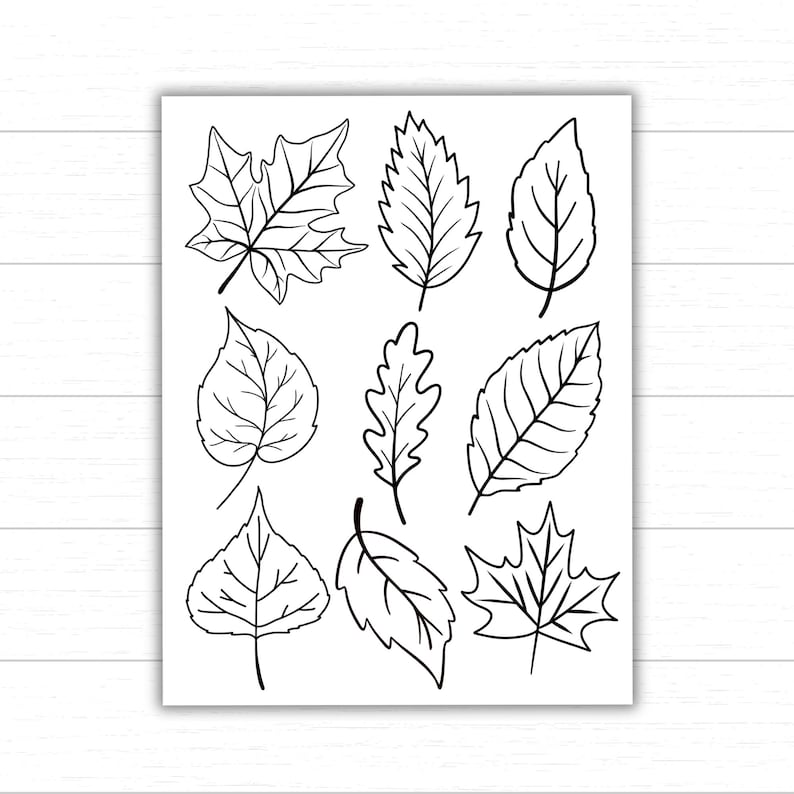 Spring Leaf Templates Printable, Leaf Outlines for Crafts, Leaf ...