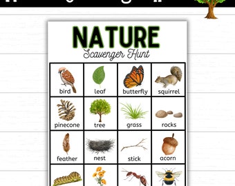 Toddler Printable Nature Scavenger Hunt My First Look and Find Nature ...