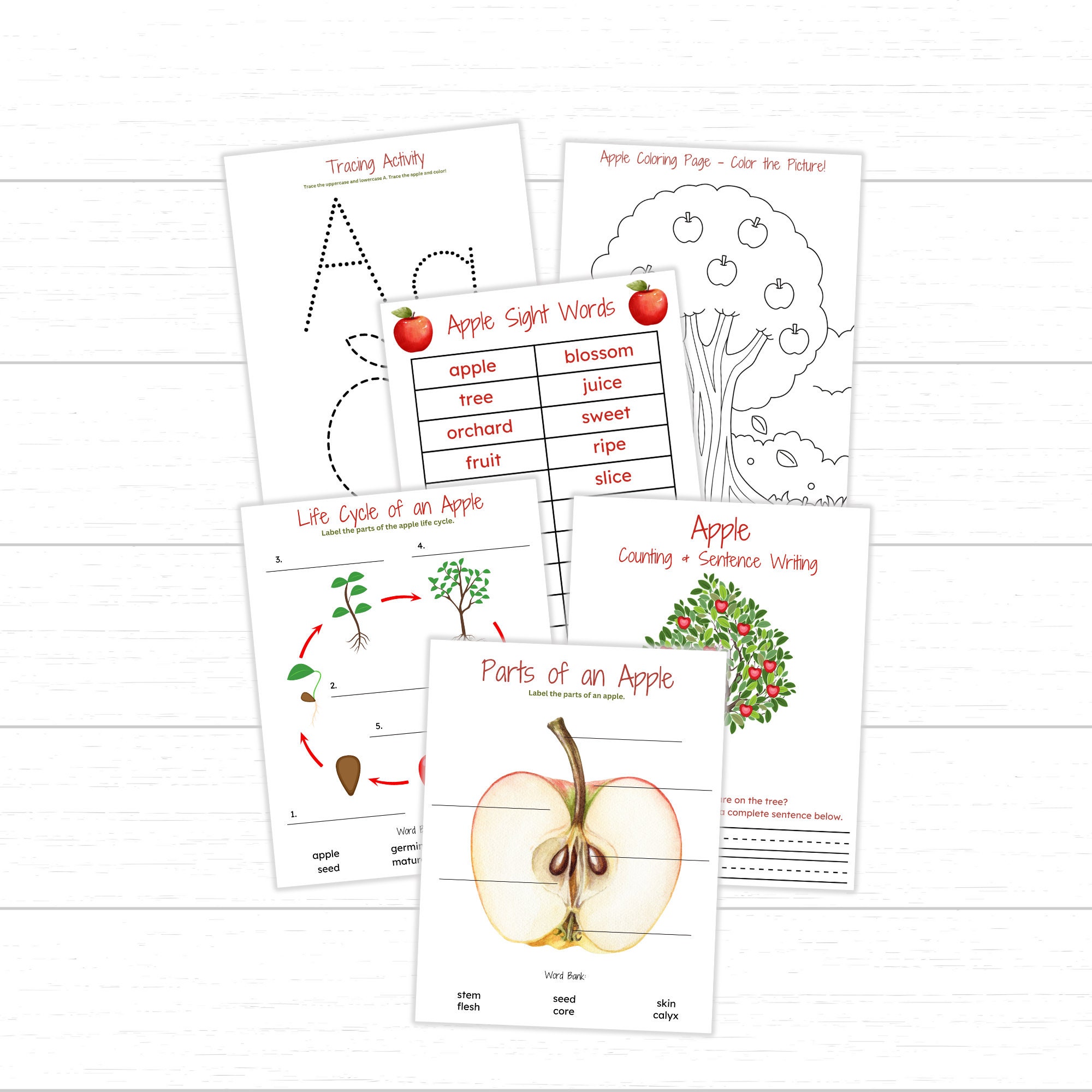Apple Activity Pack for Kids, Printable Learning Bundle, Apple ...