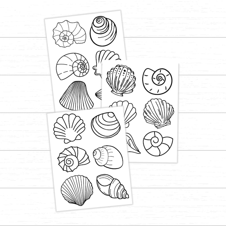Seashell Coloring Pages, Seashell Art, Printables for Kids, Ocean ...