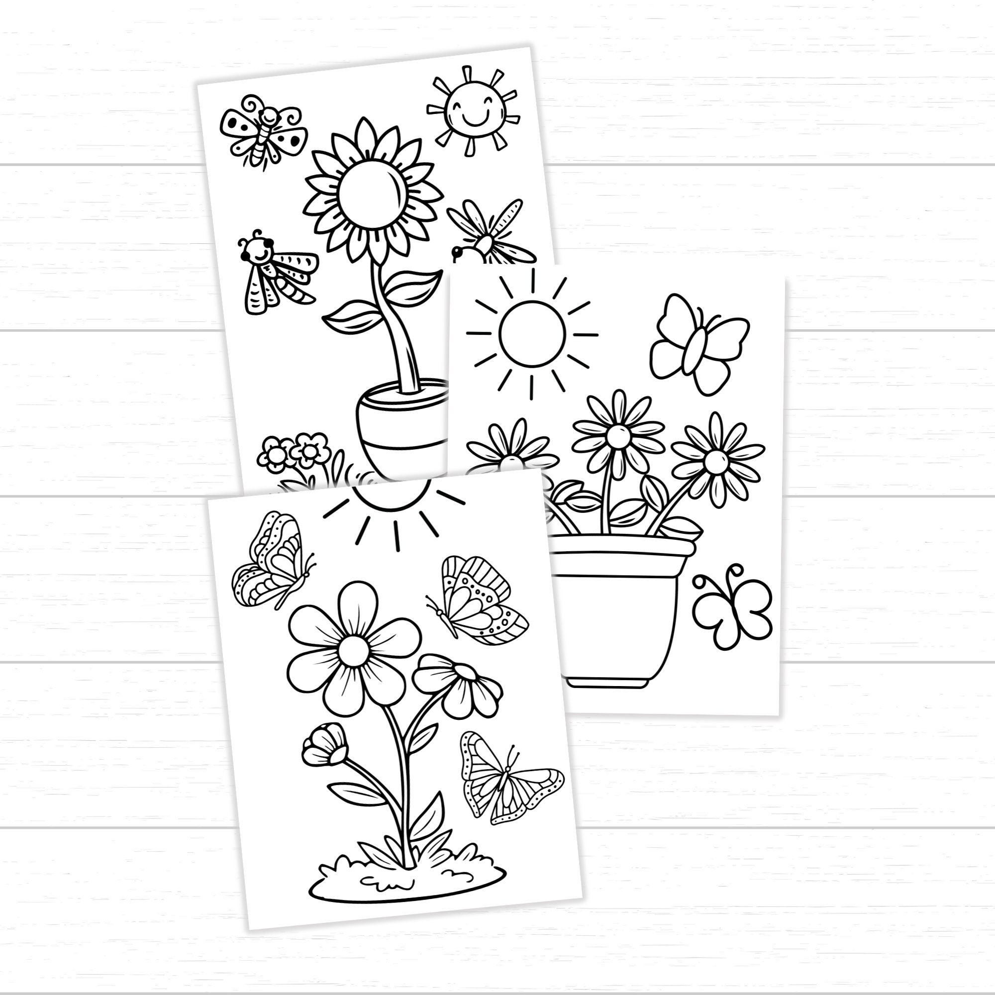 Flower Coloring Pages, Butterfly Coloring Pages, Spring Flower Coloring ...